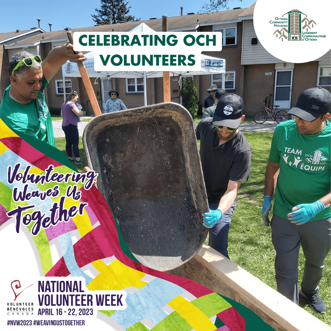 Many Hands Make Light Work: Volunteers Donate Time and Skills to ...