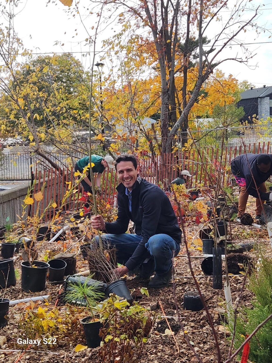 Green Corner: Two New Tiny Forests Take Root at Russell Manor and ...